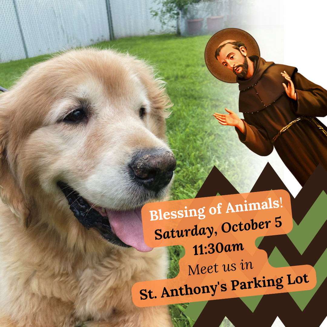 Annual St. Francis Animal Blessing! | St. Anthony of Padua
